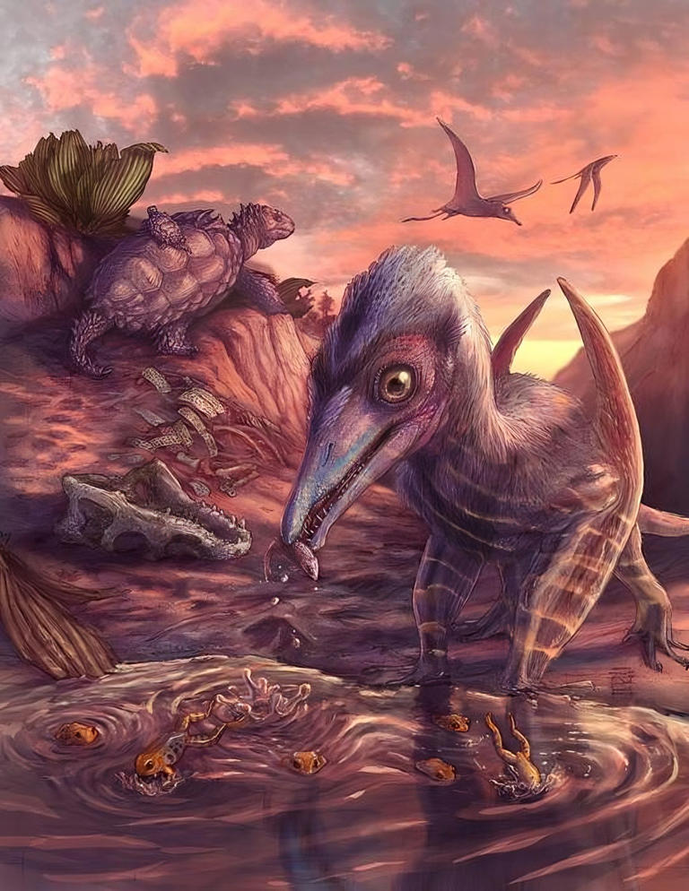 🦅 Discovery of a very ancient pterosaur species, so small it could ...