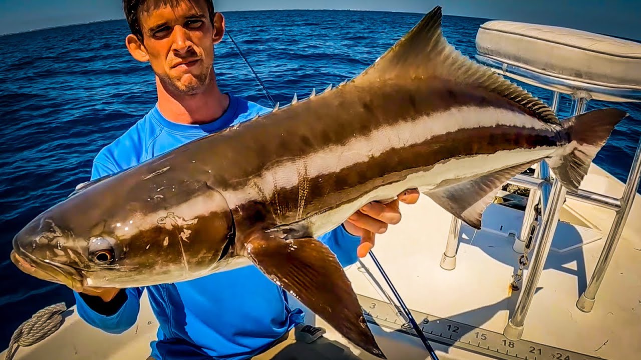 Why Fishing Is Fun | Chill Day on the Water