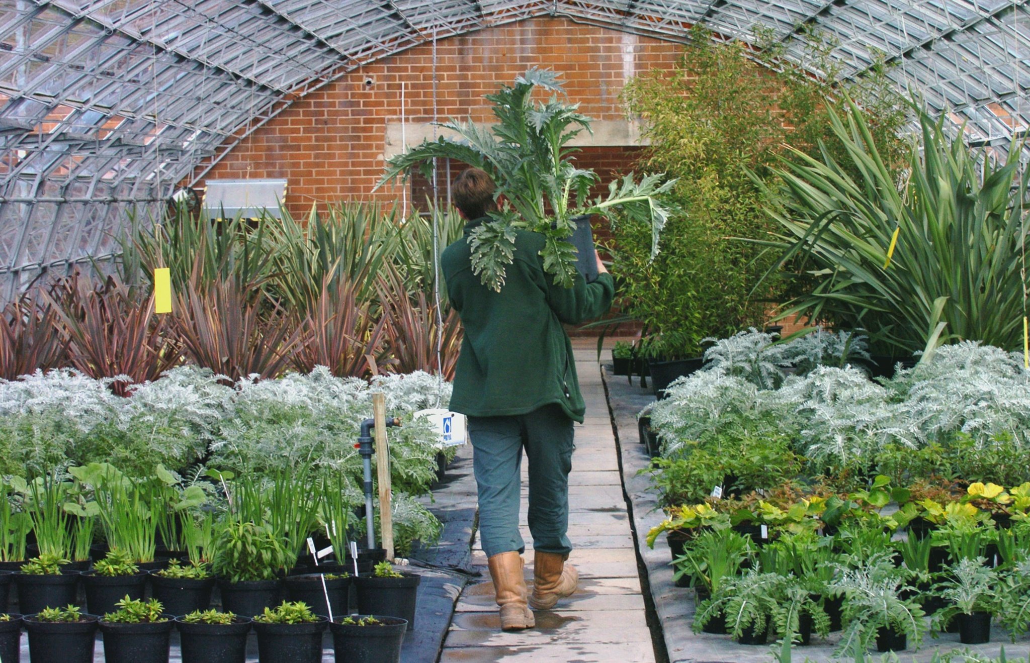 Red Hall Nursery Leeds: Plans to build more than 350 homes at former ...