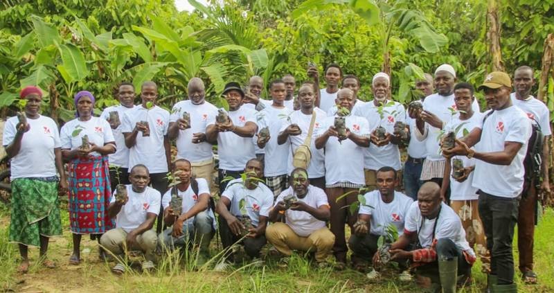 Reboisement: Un groupe agro-industriel aux côtés d’une Ong engagée dans ...