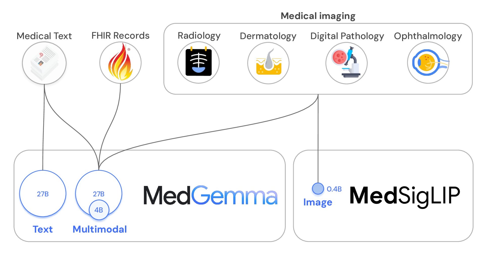 Google DeepMind เปิดตัว MedGemma ผู้ช่วยใหม่สำหรับวงการแพทย์