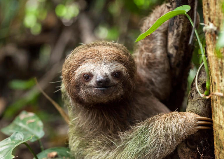 Shocking Animal Eating Habits