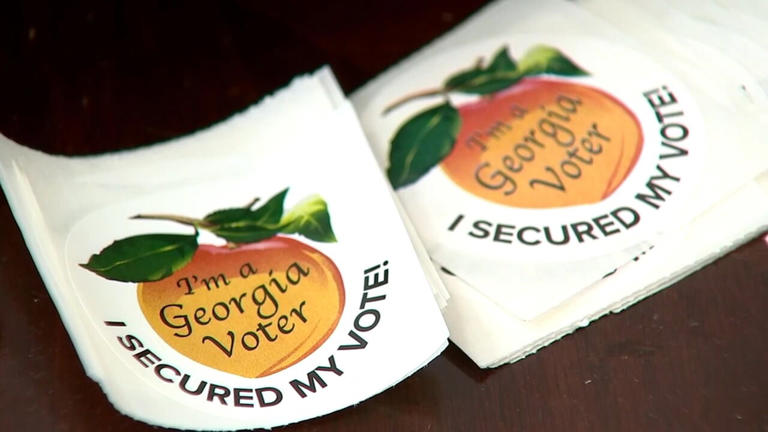 Early voting begins for city elections, Georgia Public Service ...