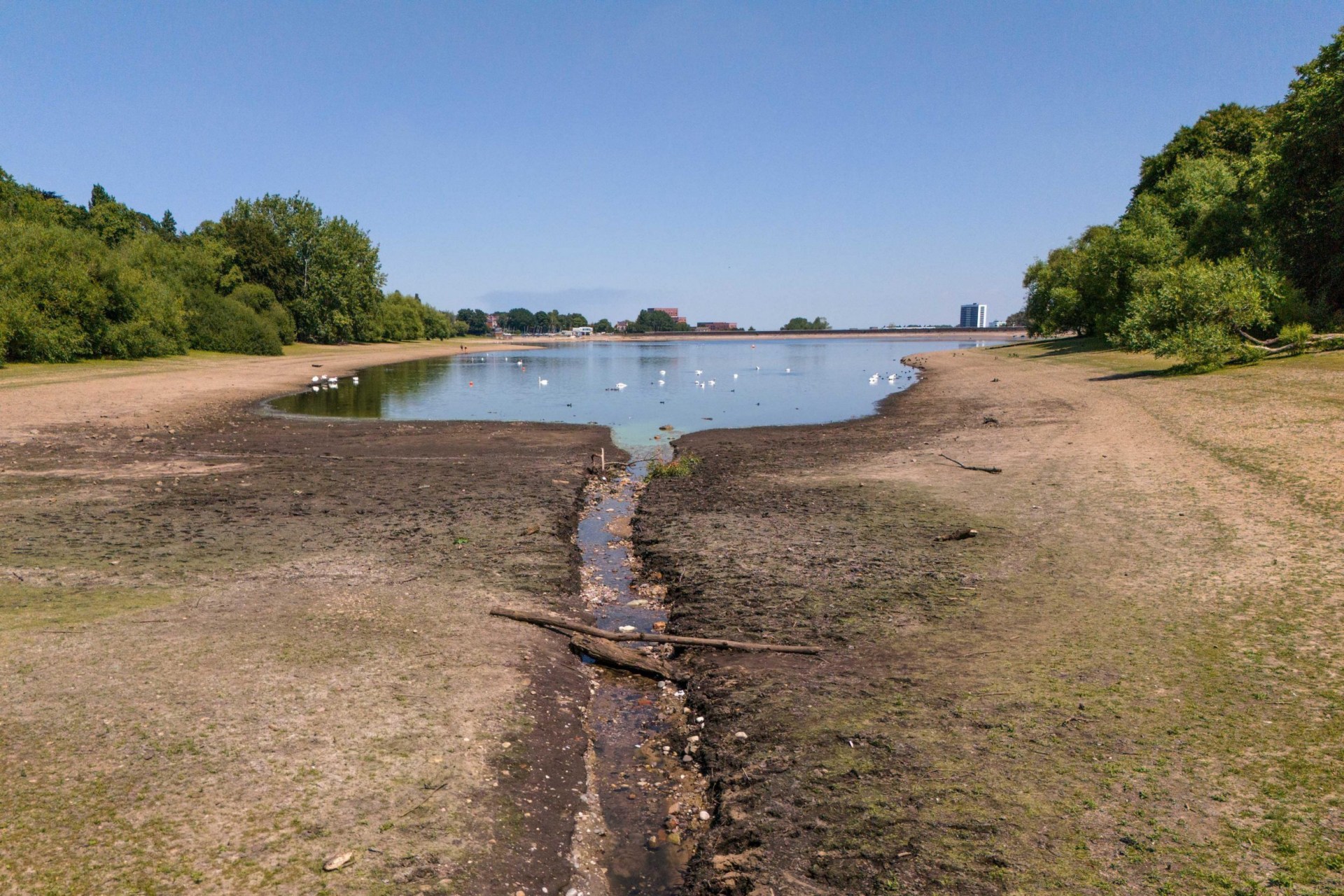 Here's why a drought is so bad for you