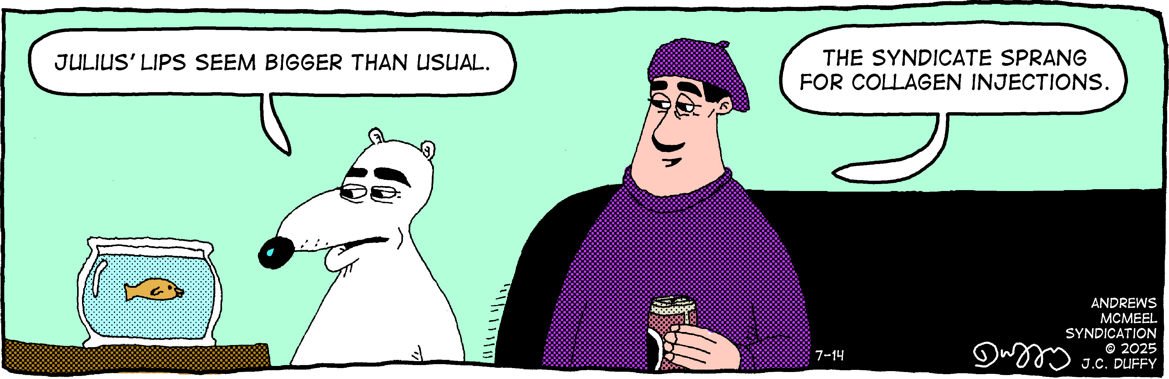 The Fusco Brothers by J.C. Duffy