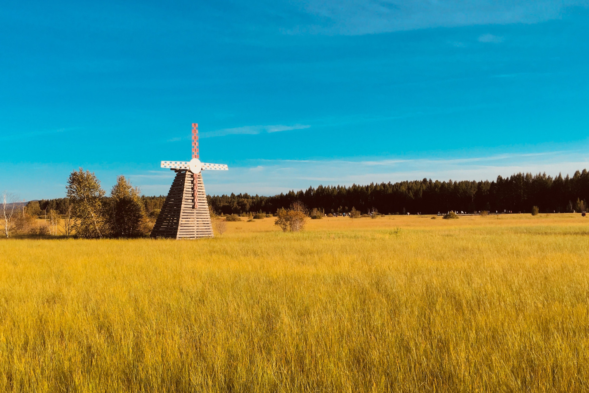 The largest man-made forest in the world