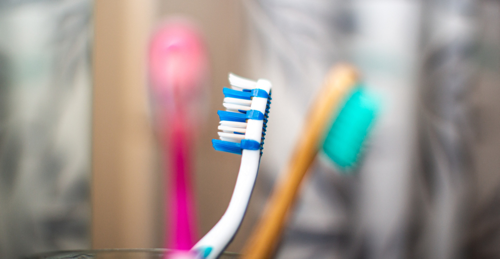 Virus-fighting bacteria in daily items