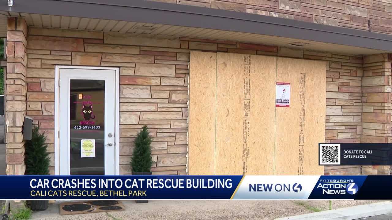 Car crashes into Bethel Park cat rescue days after grand opening