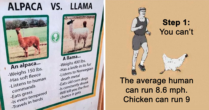 34 Funny And Satirical ‘Cool Guides’ People Shared On This Group That ...