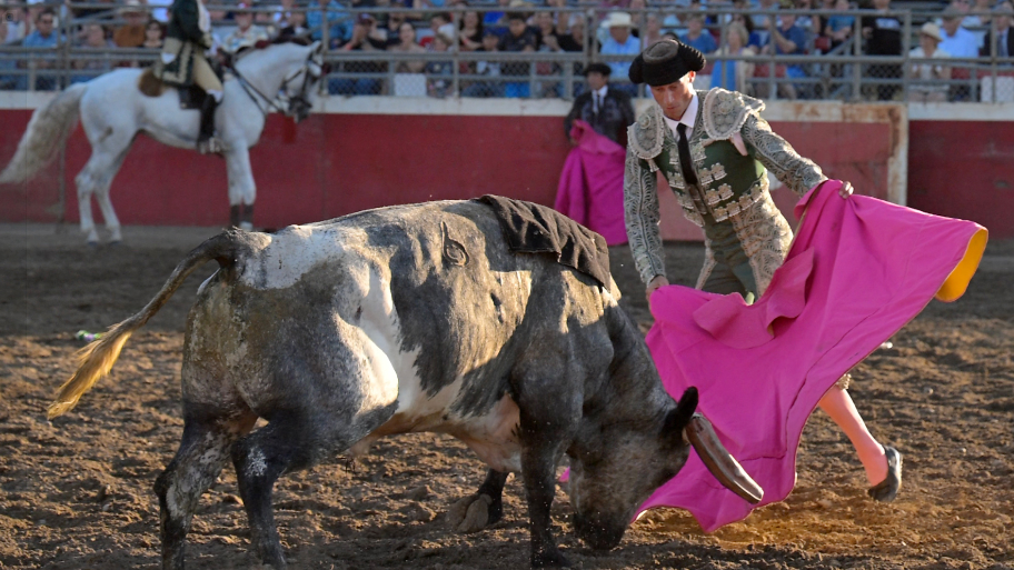 2025 Stanislaus Fair: Portuguese bloodless bullfights