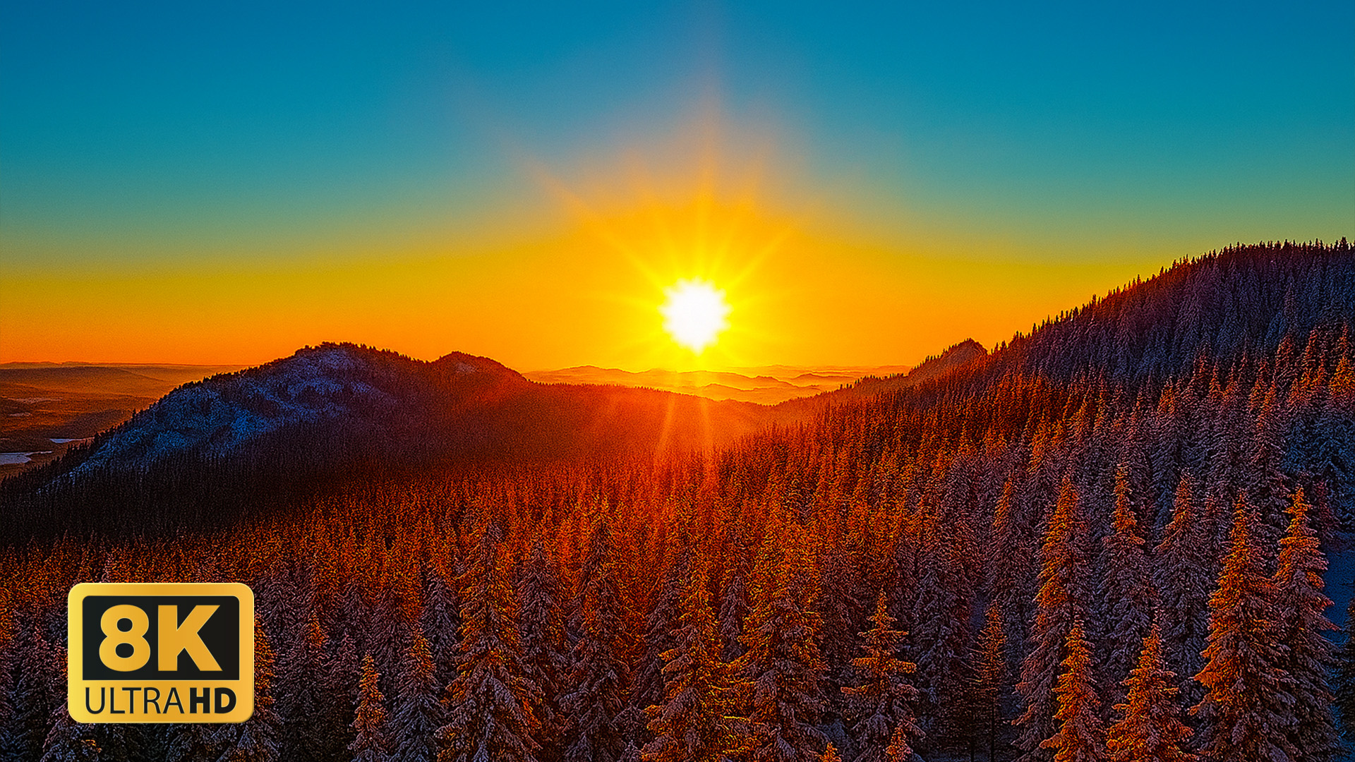 ULTRA HD 8K OLED Color Showcase – Dolby Vision™ Demo for Premium ...