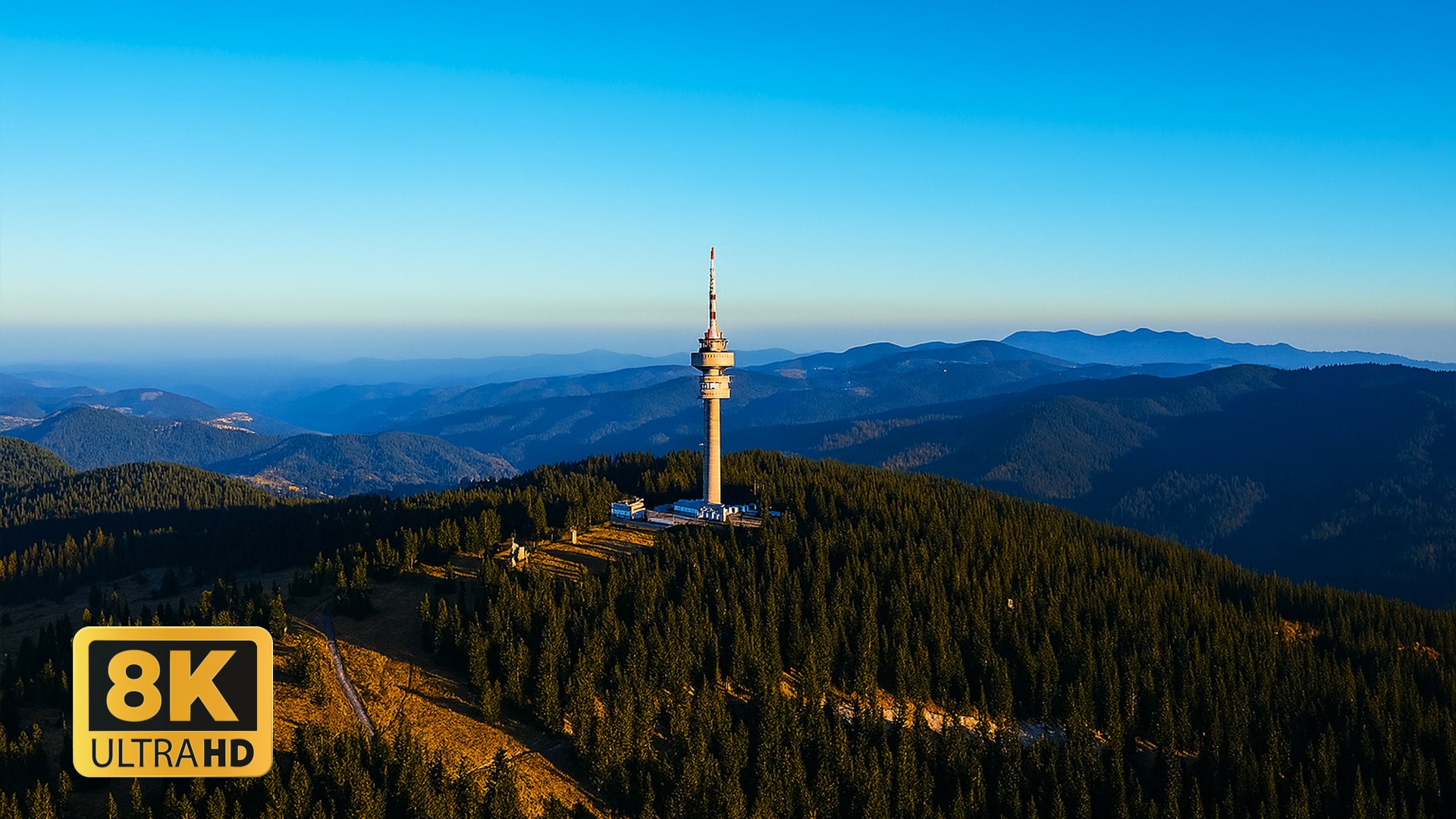 Dolby Vision™ 8K OLED Demo – Brilliant Color & Contrast in ULTRA HD for ...