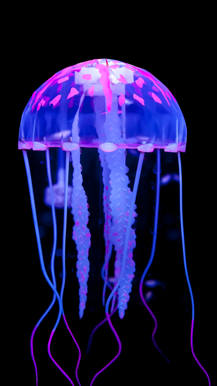 10 sea creatures that glow in the dark