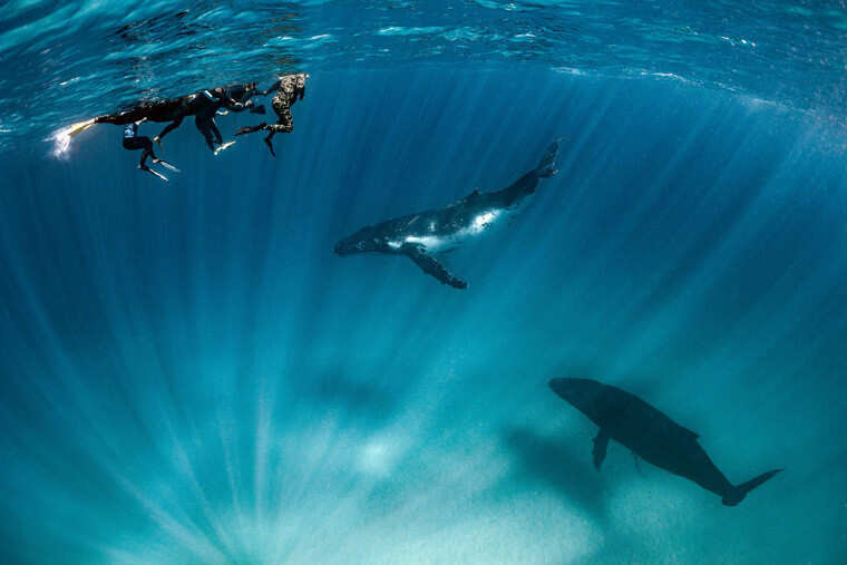 7 Things You Might Not Know About The Humpback Highway