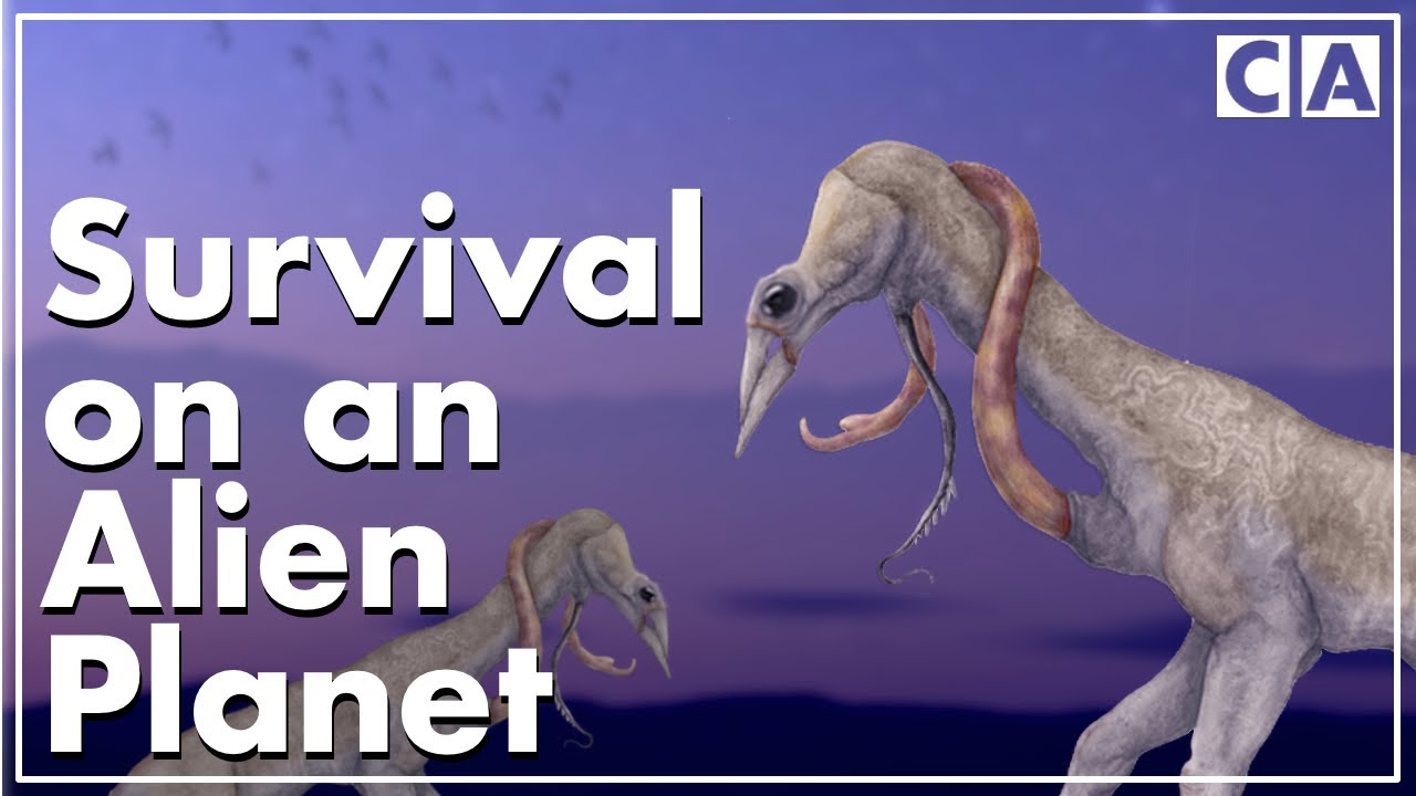 Inside Snaiad: Advanced Lifeforms and Their Habitats