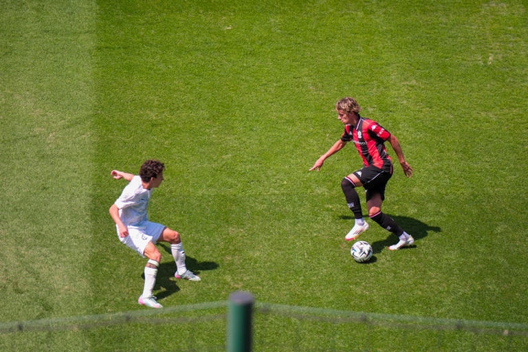 OGC Nice - Cercle Bruges, le résumé vidéo