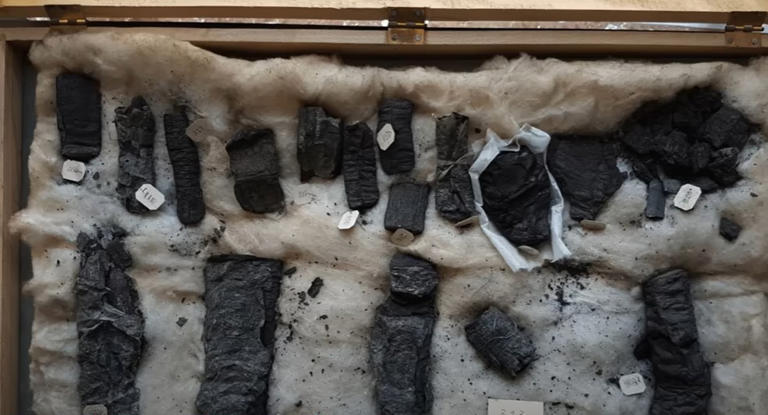 Researchers used AI to decipher ancient scrolls dug out of the ash of ...