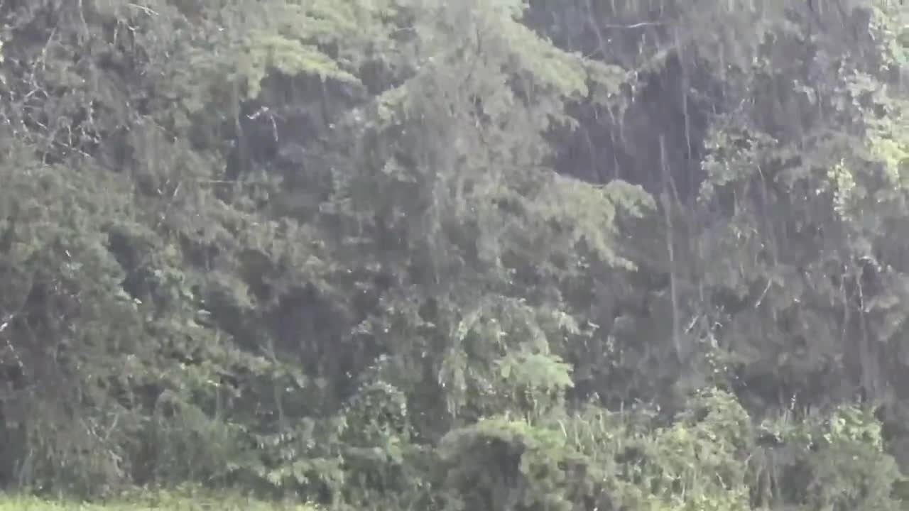 Intense rain and strong winds sweep through Gray, Kentucky