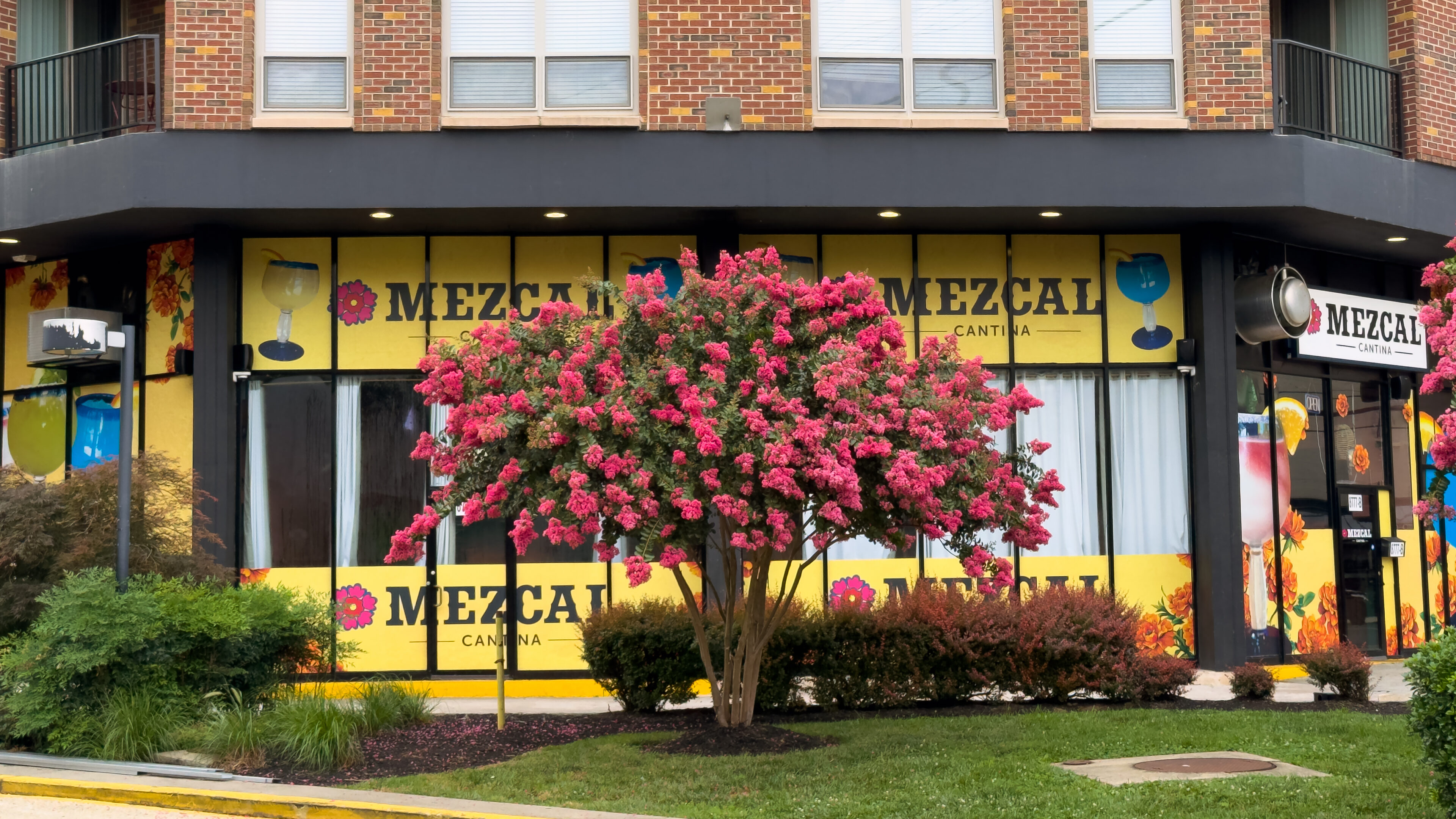 New Menu, New Name: Tacos Way Mexican Grill Transitions to Mezcal Cantina