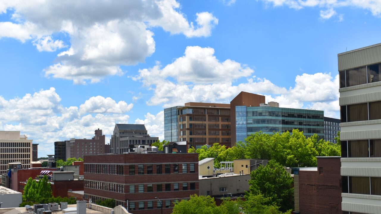 Greenville City Council approves Falls Park conference center, public ...