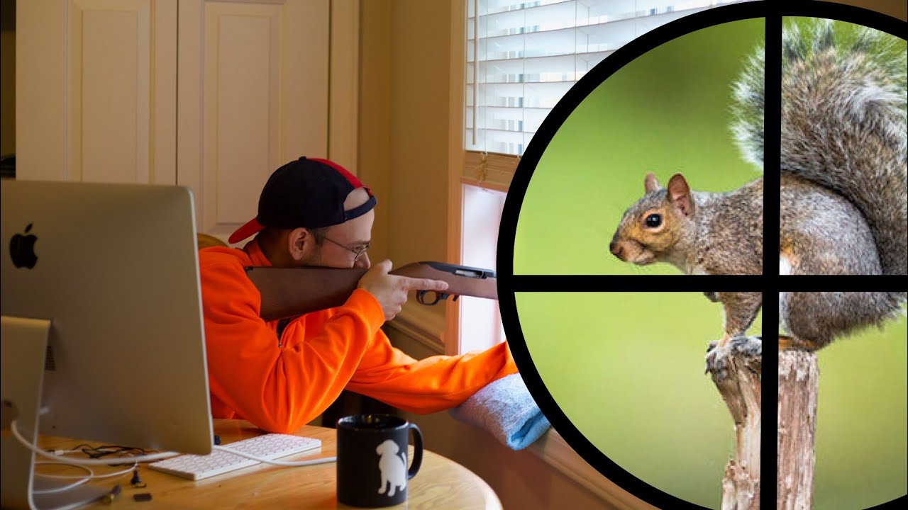 Squirrel Hunting Right From My Kitchen