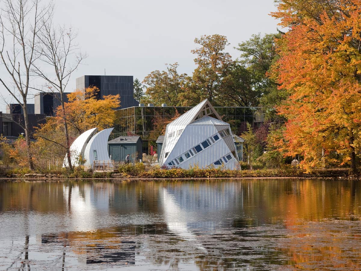 Angry Trump fans burn their MAGA hats over Epstein files row