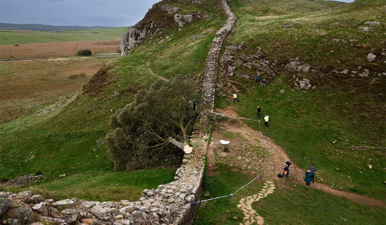 Two men who cut down Sycamore Gap tree jailed for ‘moronic mission’