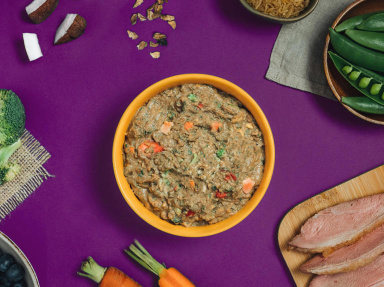 Get 40% off personalised dog food this summer