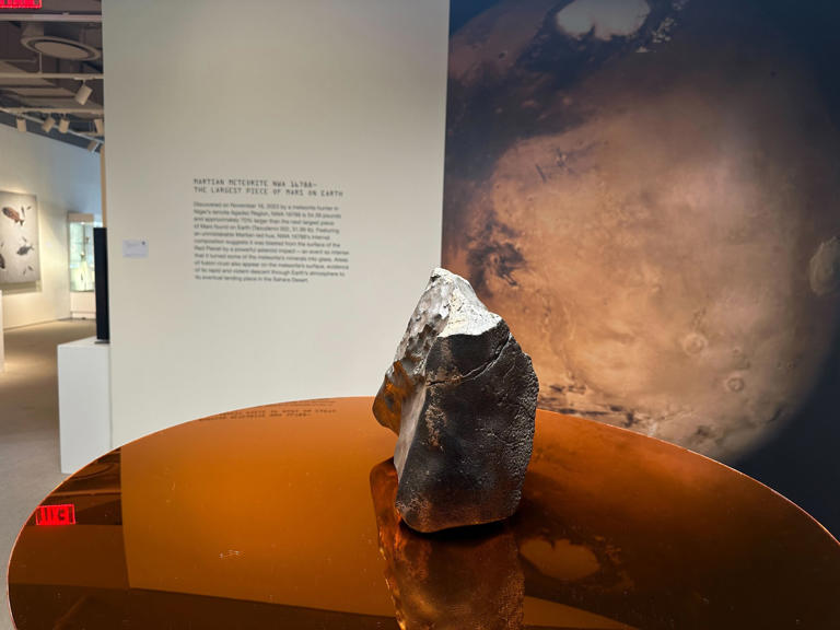 The largest Mars rock on Earth is up for auction in NYC — it could be ...
