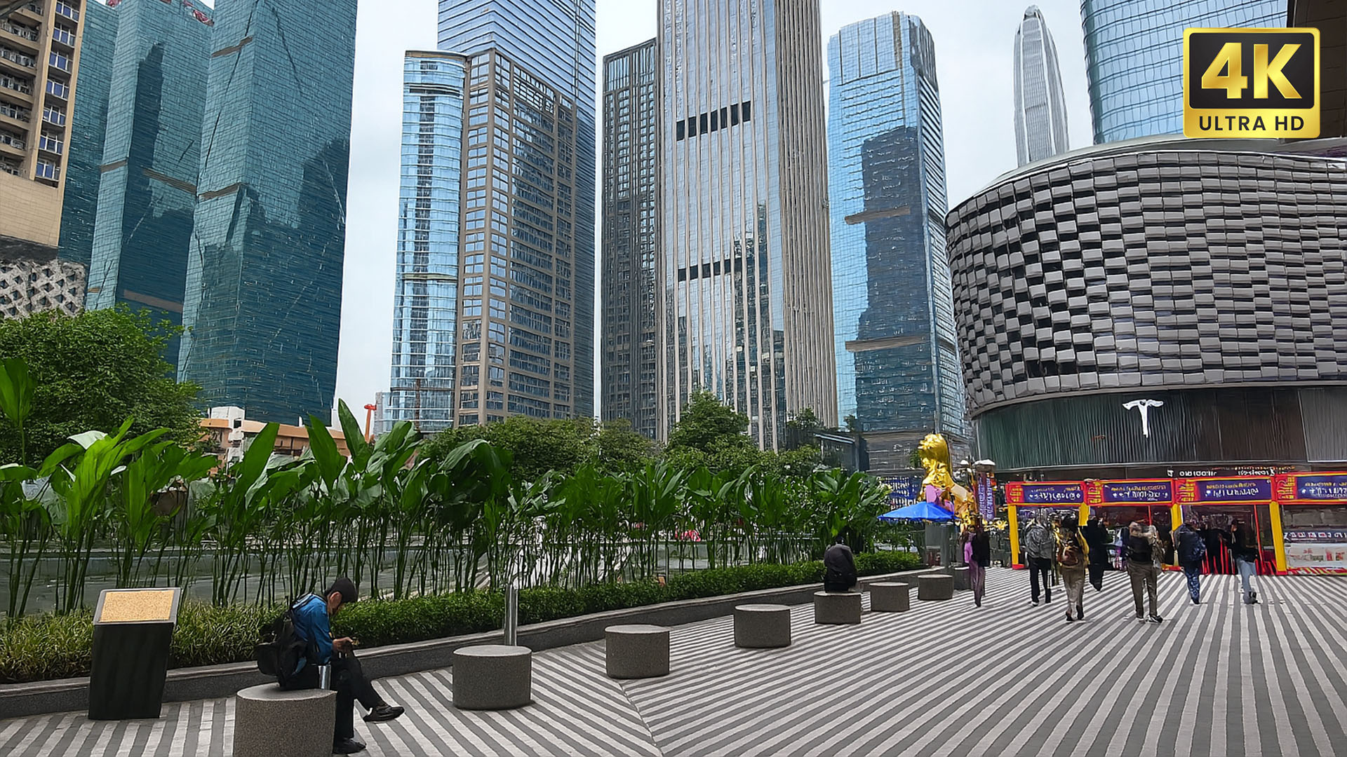 Walking Through Shenzhen: Exploring the Future Tech Capital of China