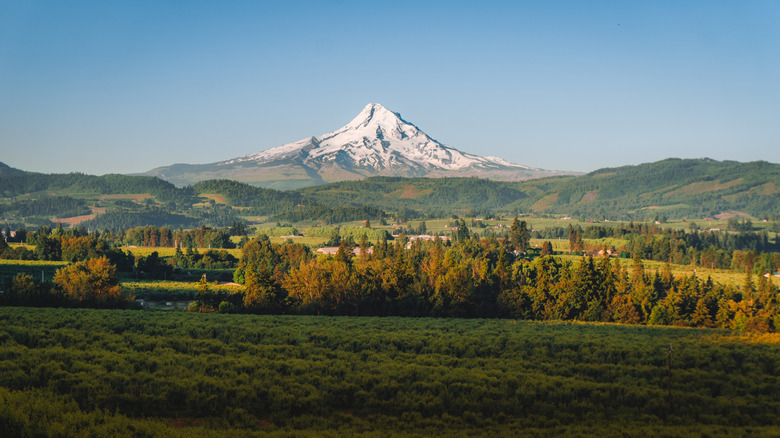 Oregon's Orchard-Lined Loop Is A Region Full Of Vines, Volcanoes, And ...