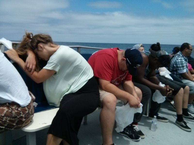 13 Types of People Who Should Never Go on a Cruise