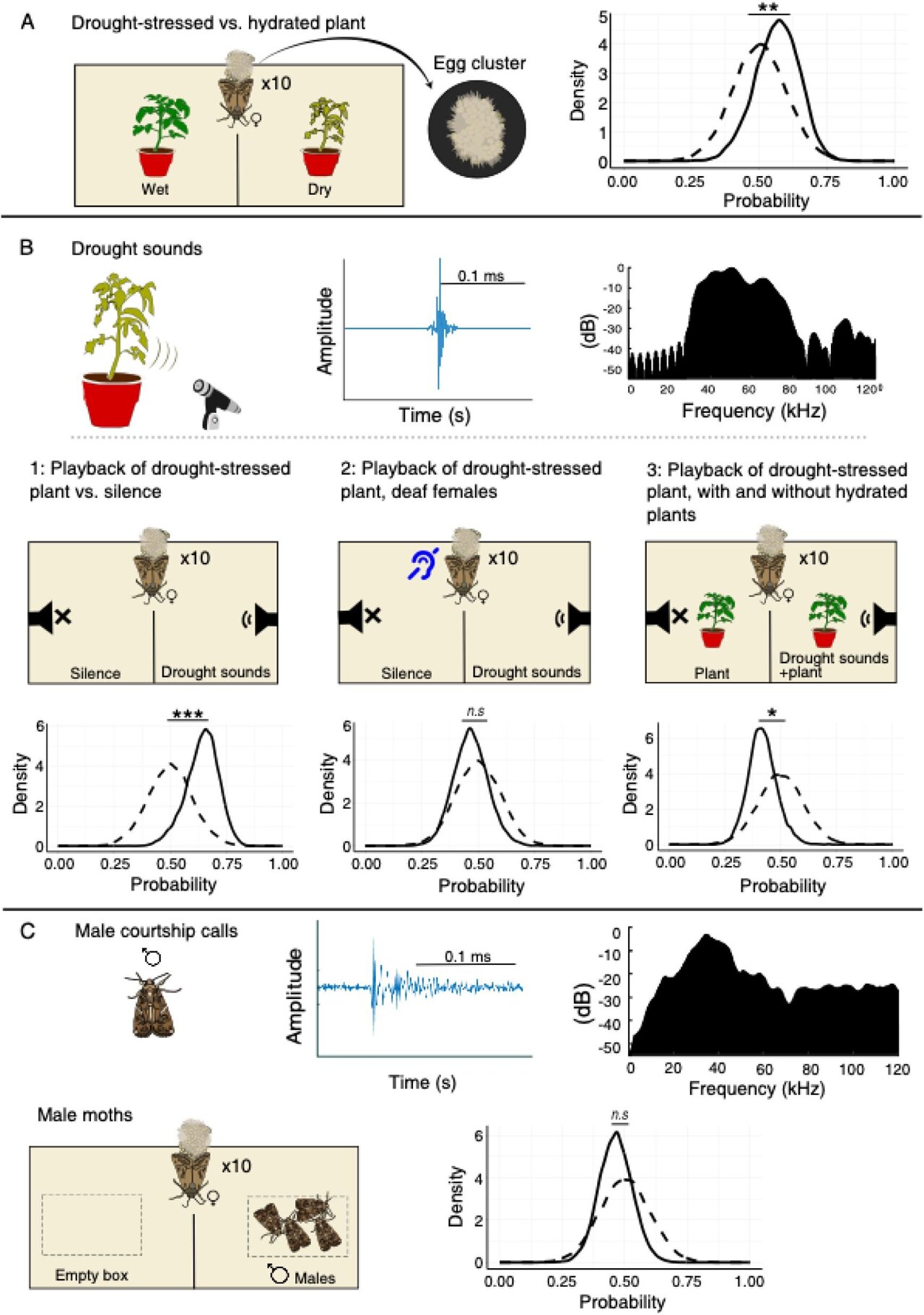 First scientific evidence of auditory interaction between plants and ...