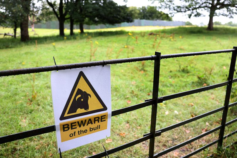 Ticketless Oasis fans given new warning and told reason why 'Gallagher ...