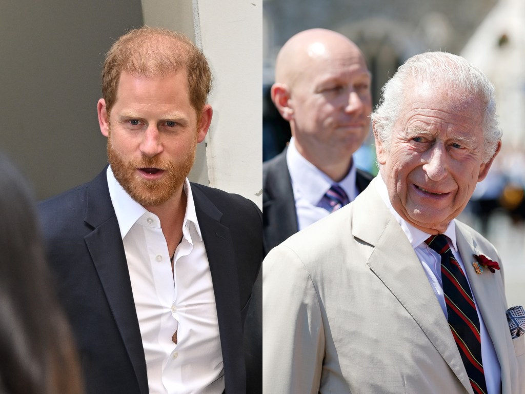 Why Prince Harry's 'Guilt' Pushed Him To Send Staff To Meet King Charles' Team