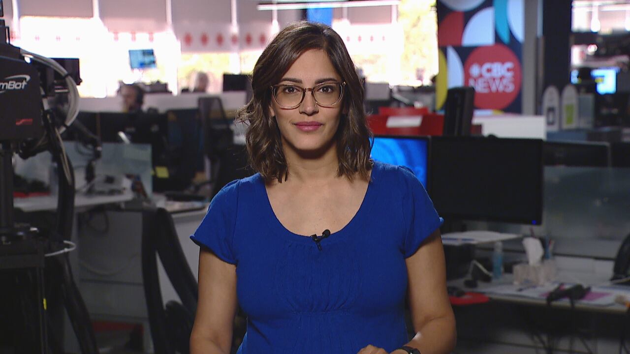 CBC Calgary Headline News July 15: C-train fatal, Sunday storm cleanup ...