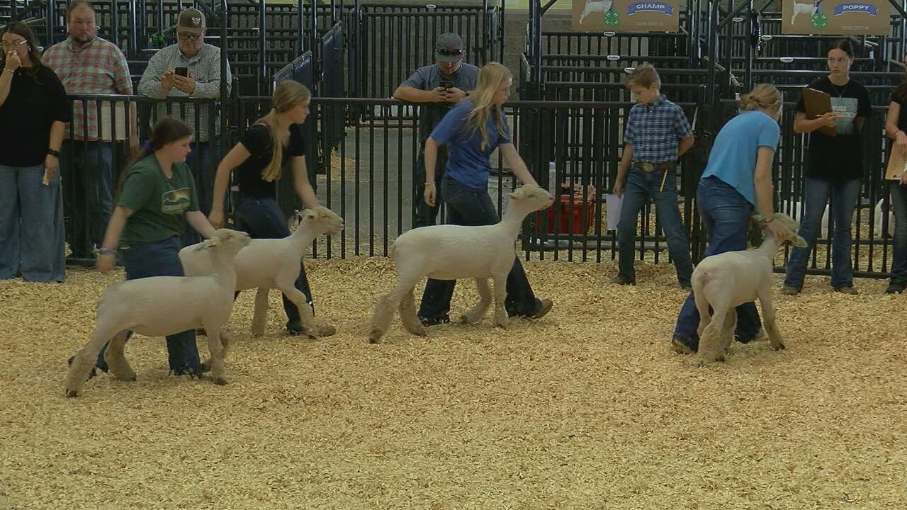 County fairs, livestock shows to receive state funding