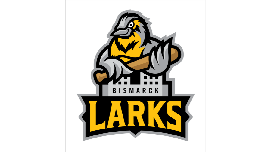 Bismarck Larks host cancer center night with prostate screenings