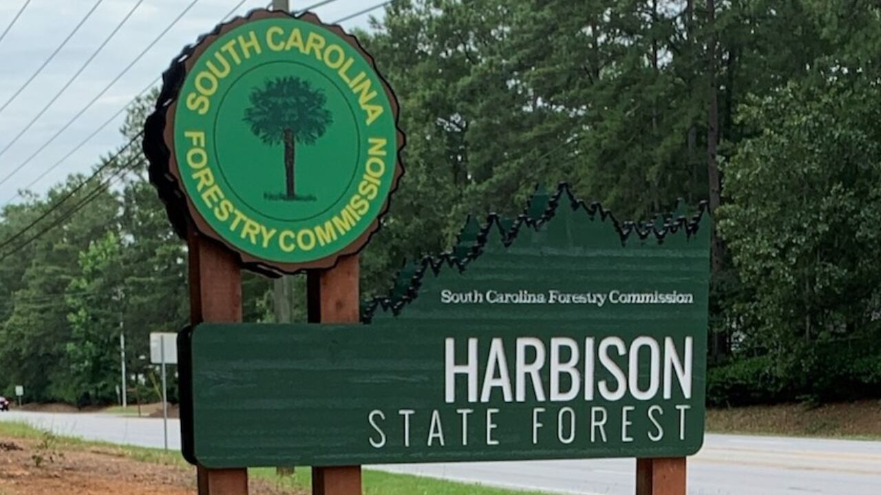 ‘It’s scary’: S.C. state forest closes after dog attacks