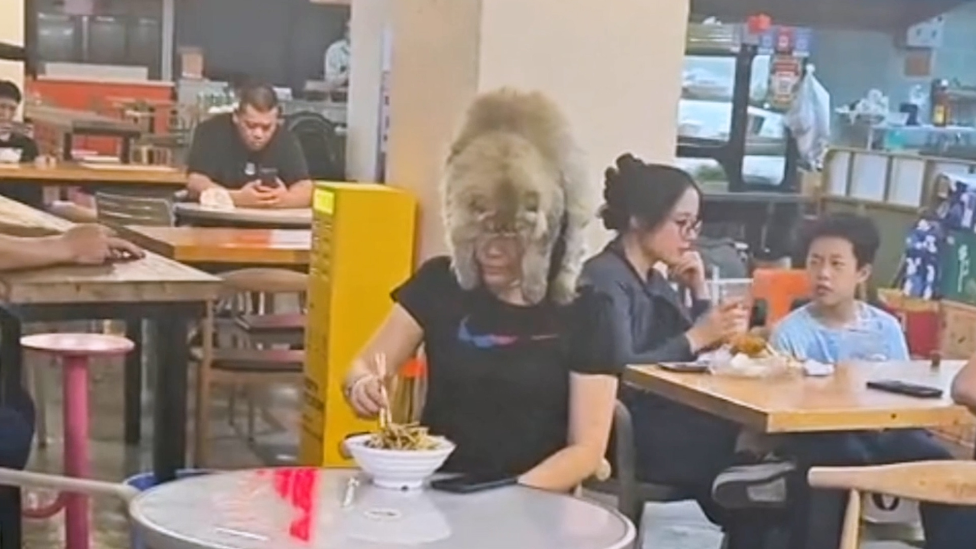 Cat mistaken for hat as it lounges on owner’s head