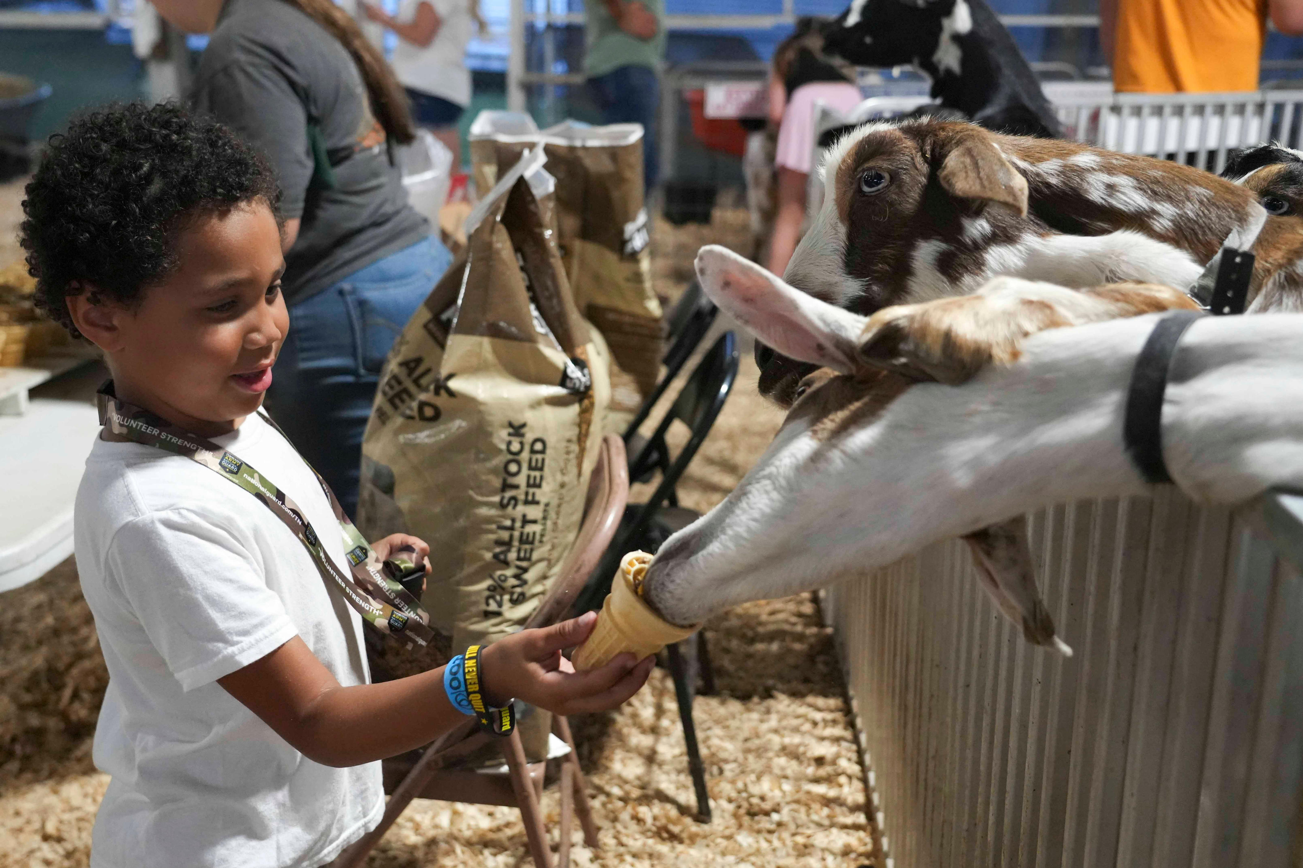 'Best 6 Days of Summer' is underway; Anderson County Fair ends Saturday ...