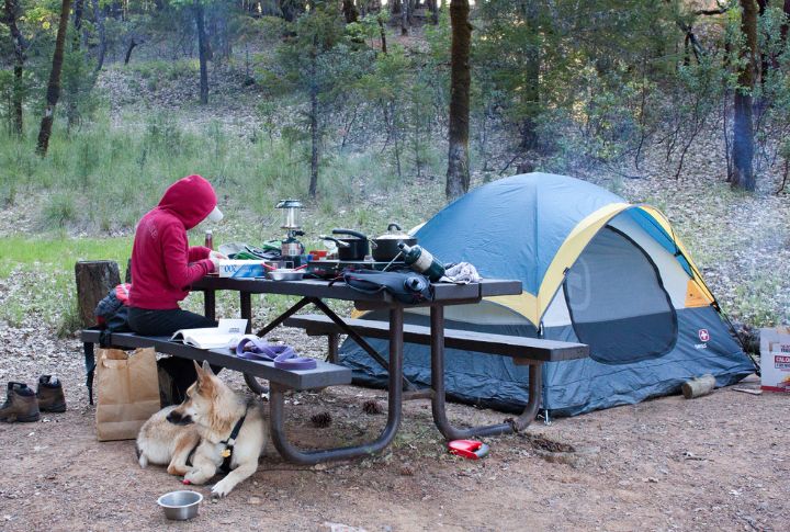 15 Camping Rules Every Outdoor Lover Should Know By Heart