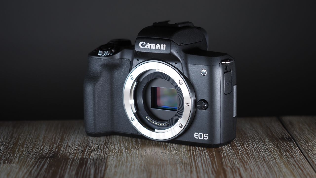Would you buy a camera system with "no future", like the Canon EOS M50 ...