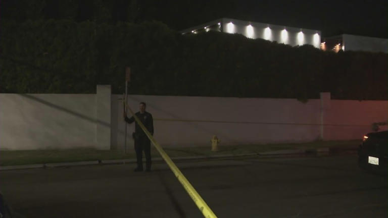 ‘American Idol’ executive, her husband fatally shot in California home ...