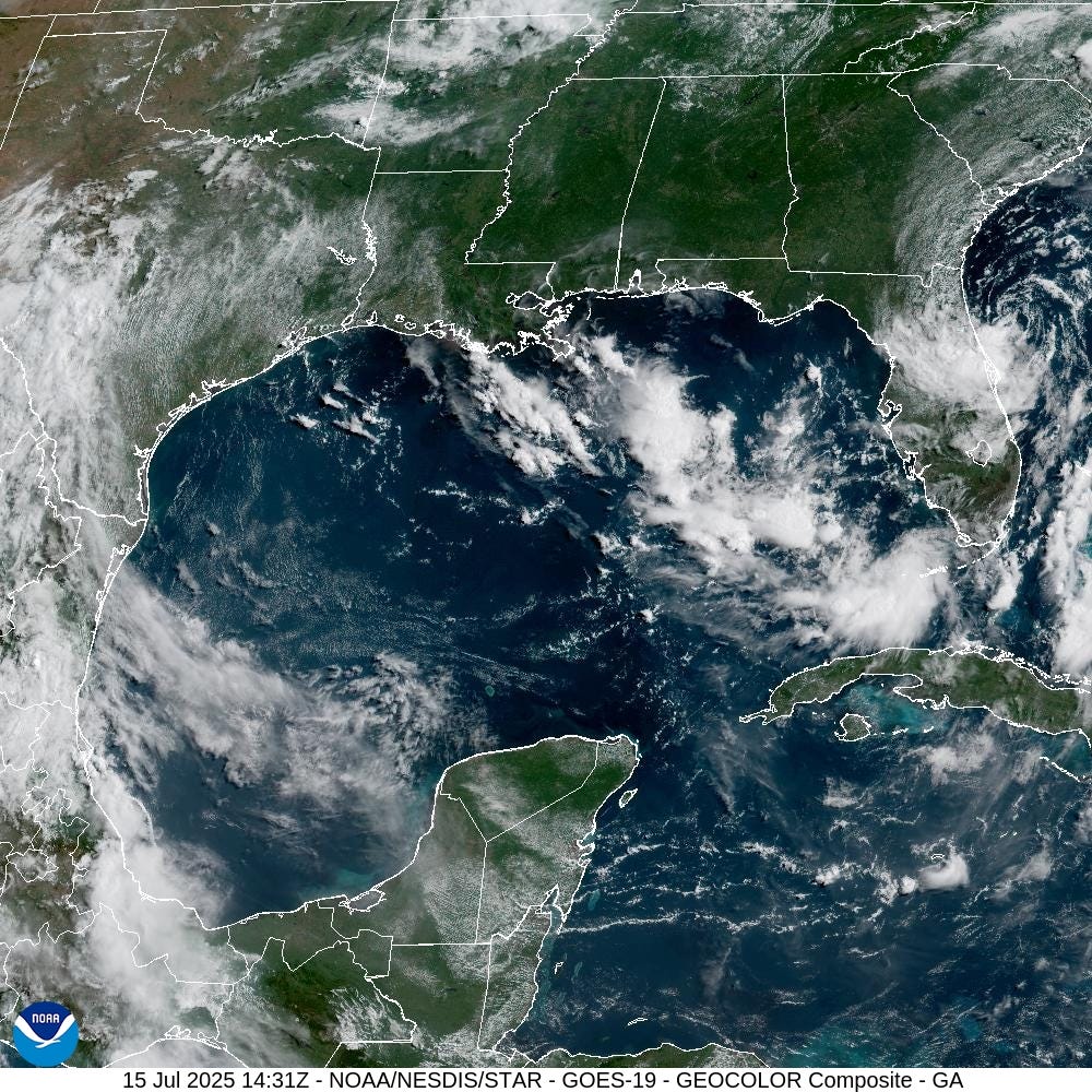 Will Tropical Storm Dexter form in the Gulf? Invest 93L spaghetti ...