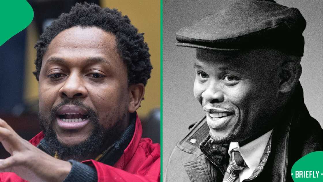 SA mocks Mbuyiseni Ndlozi for cheering Shadrack Sibiya stepping aside: "You are really bending ...