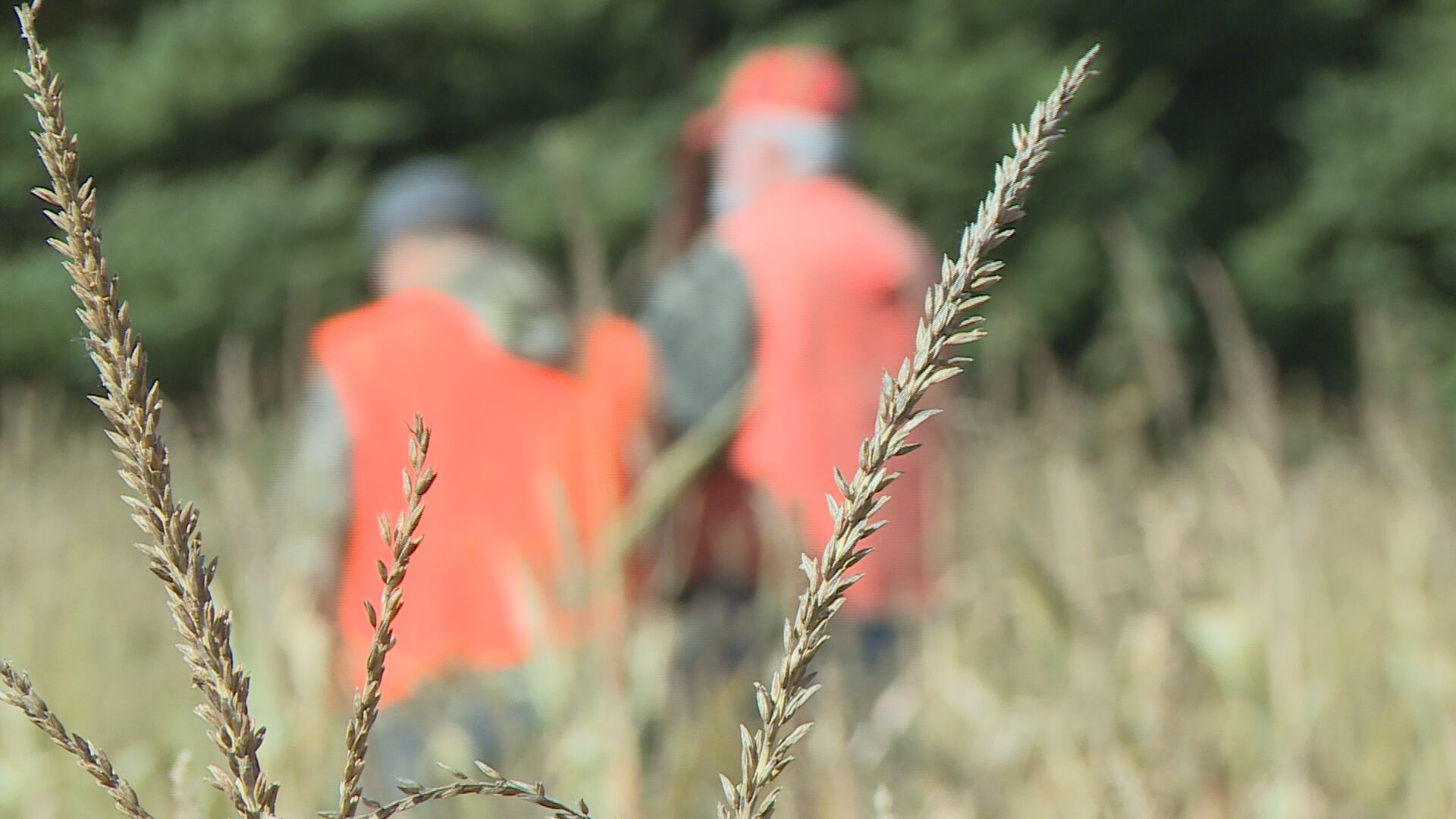 DNR Seeking Volunteers To Teach New Hunters