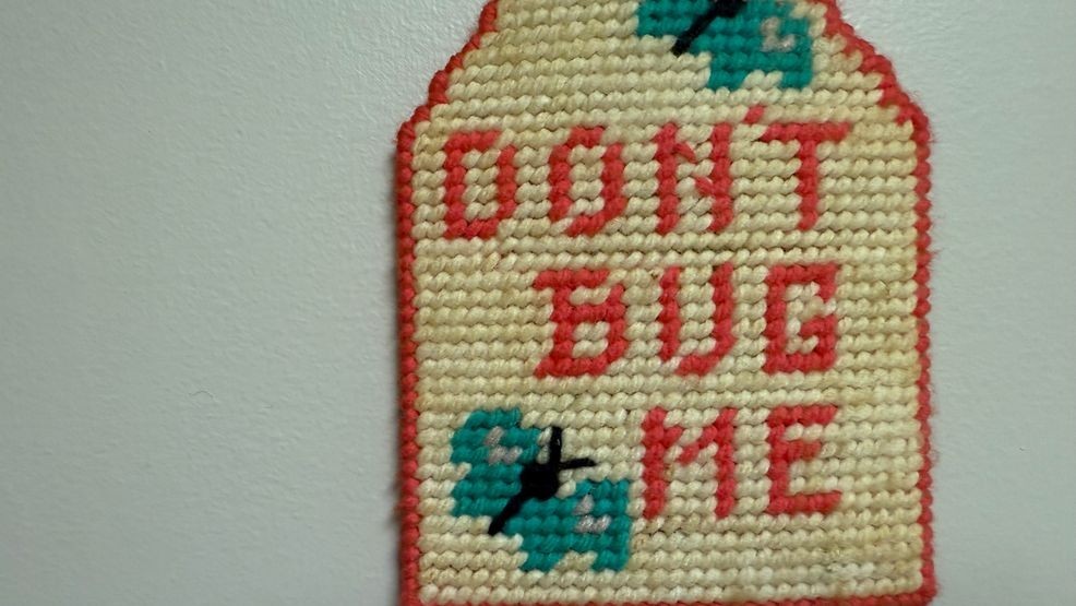 Experts explain the decline in fireflies in Missouri