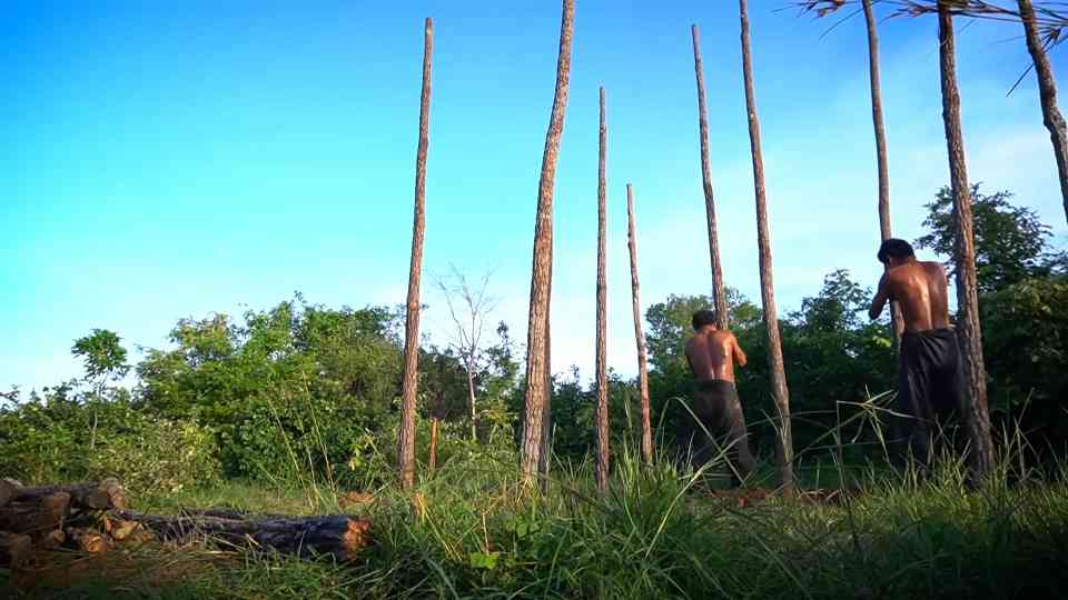 From Mud to Structure - Watch Wood Work in Action!