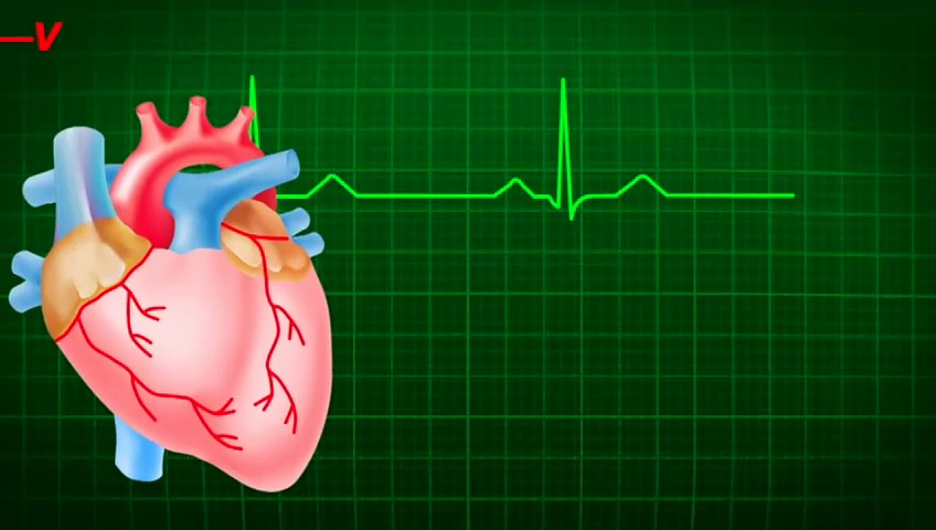 How Your Computer Mouse Activity Tells You All You Need to Know About ...